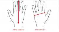 How To Measure Hand For Gloves - Everprogloves